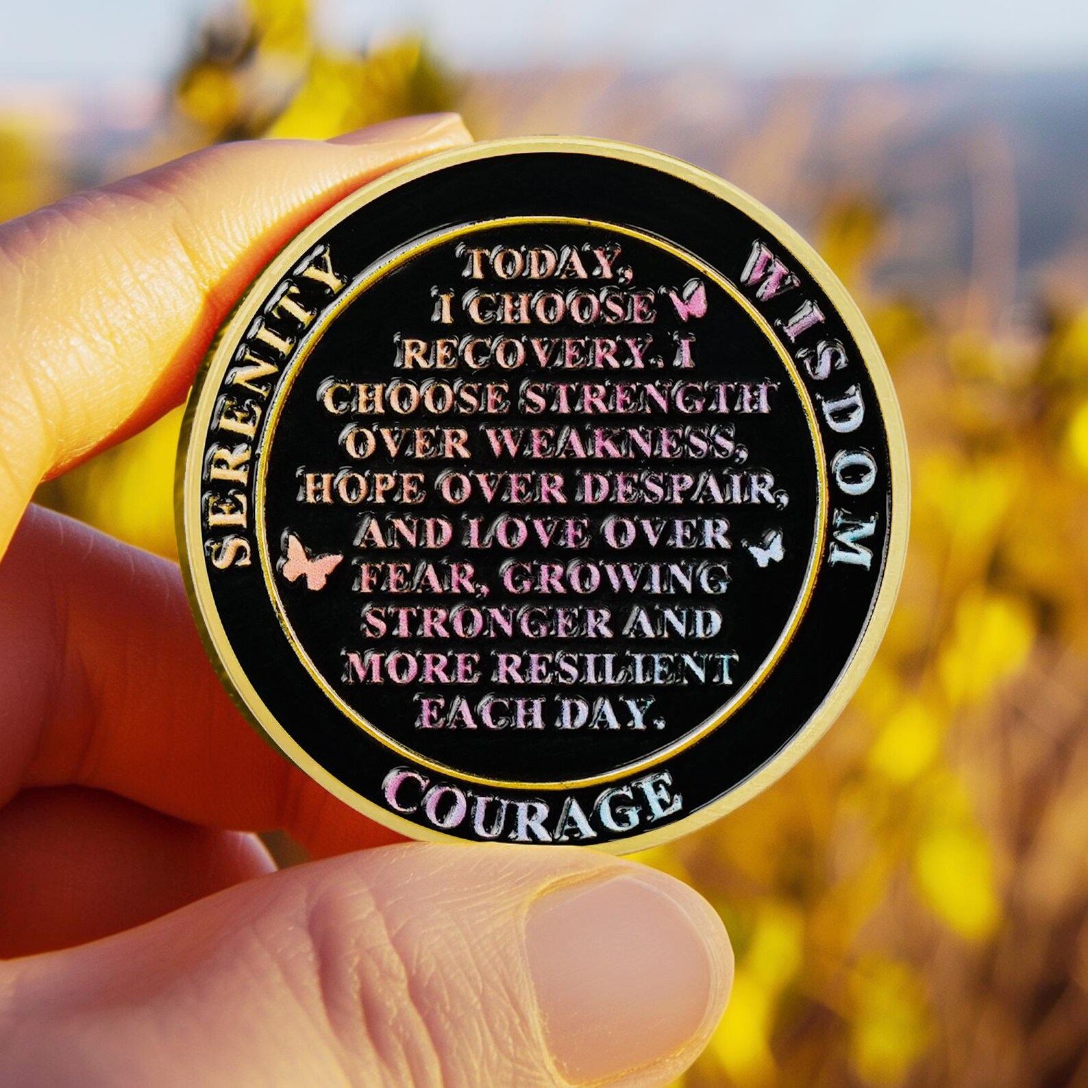 Night Sky Beach AA Chip the Moon Sobriety Coin-daily Sober Recovery ...