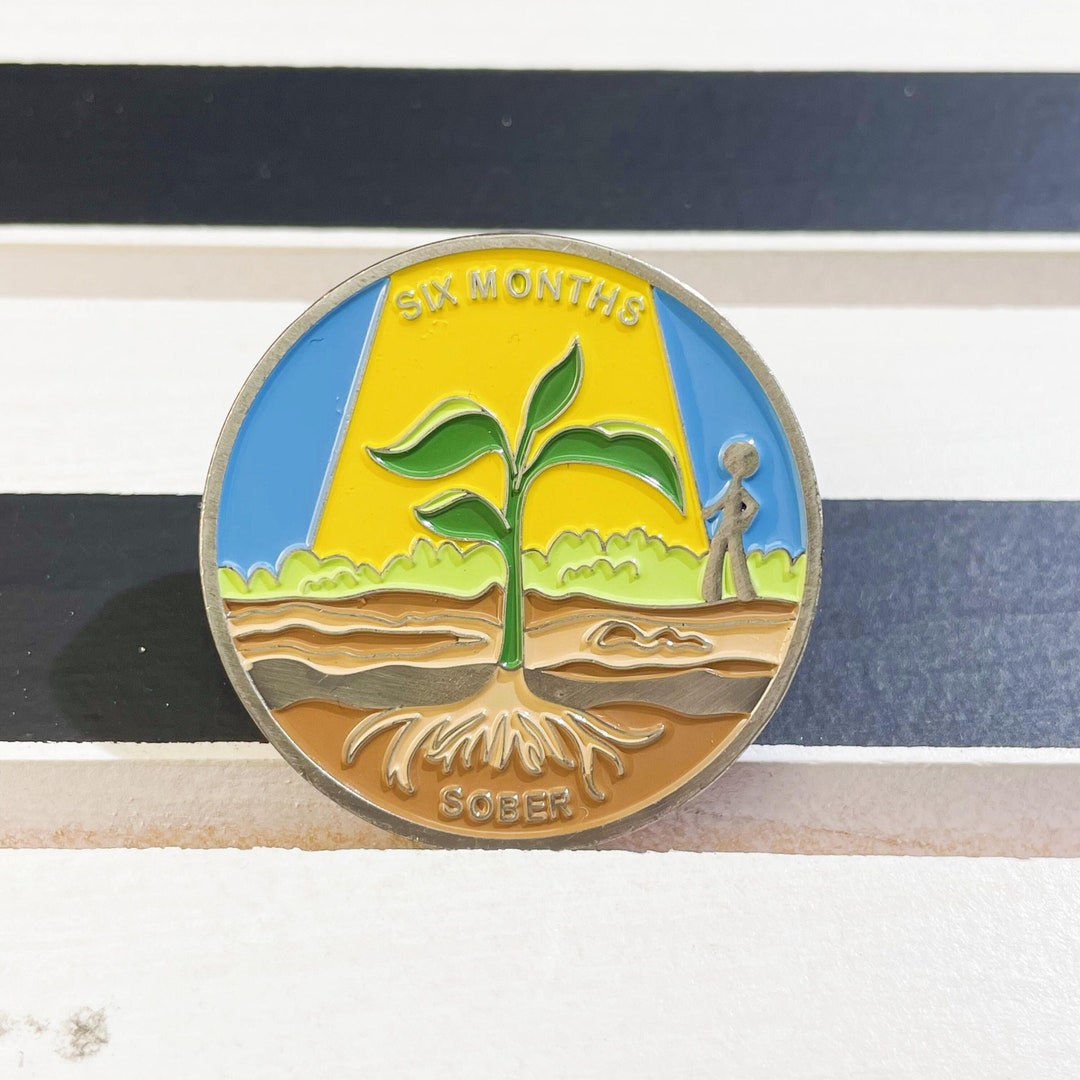 6 Month Sobriety Coin AA Chip 1-12 Months AA Medallion - Etsy