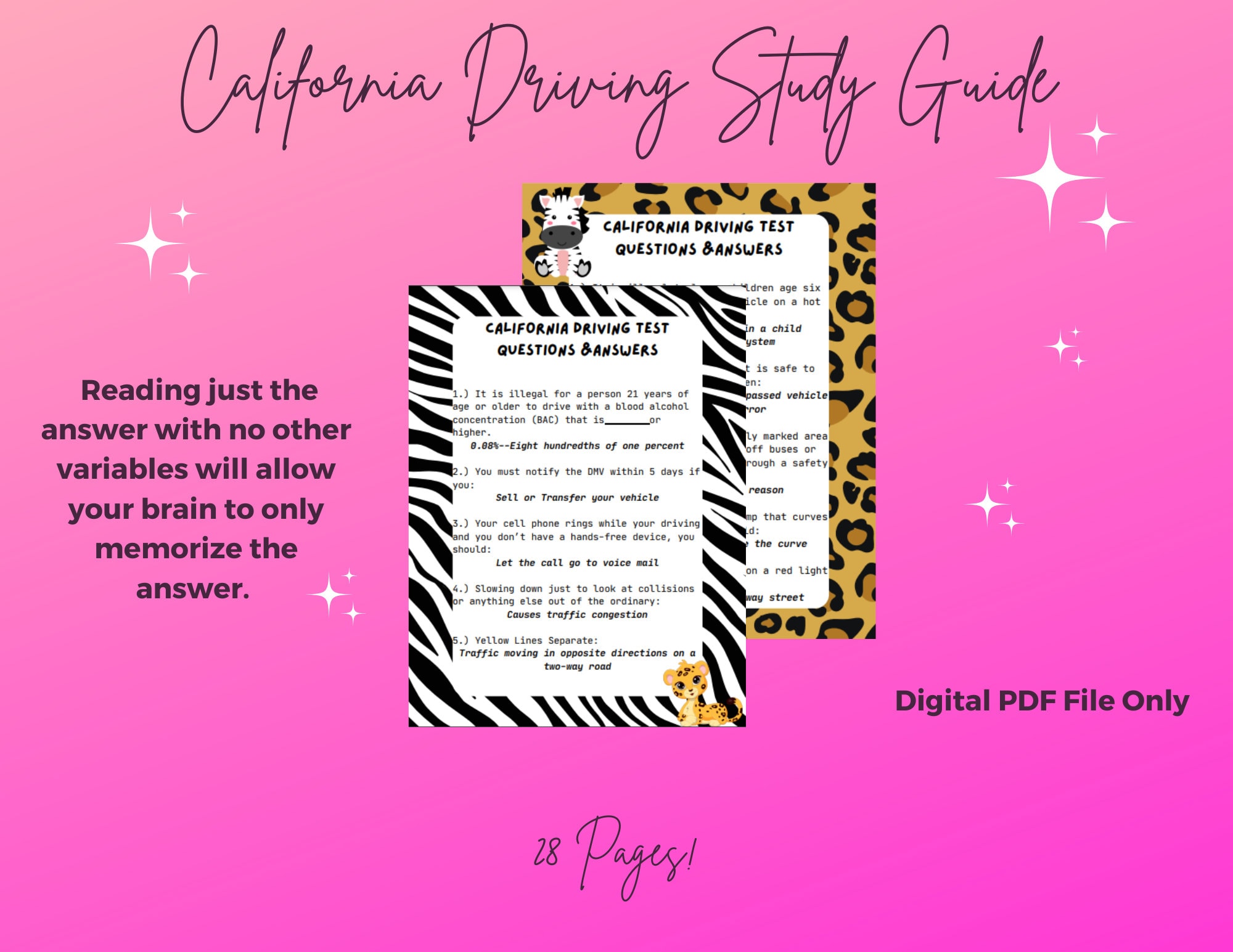 DMV California Class C Study Guide Driver’s License Written Test With ...