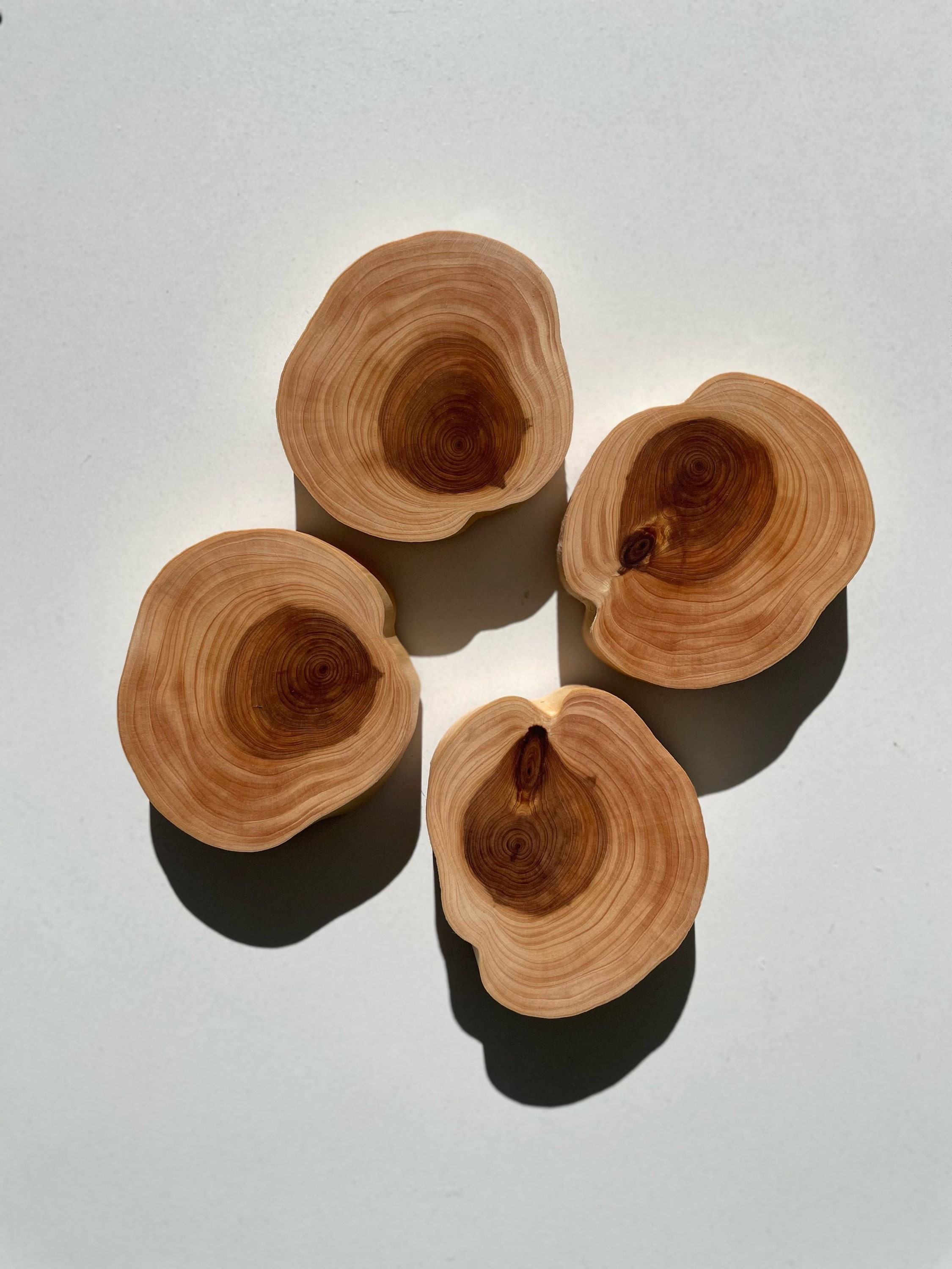 Live Edge Round Wooden Coasters Cedar Coasters - Etsy