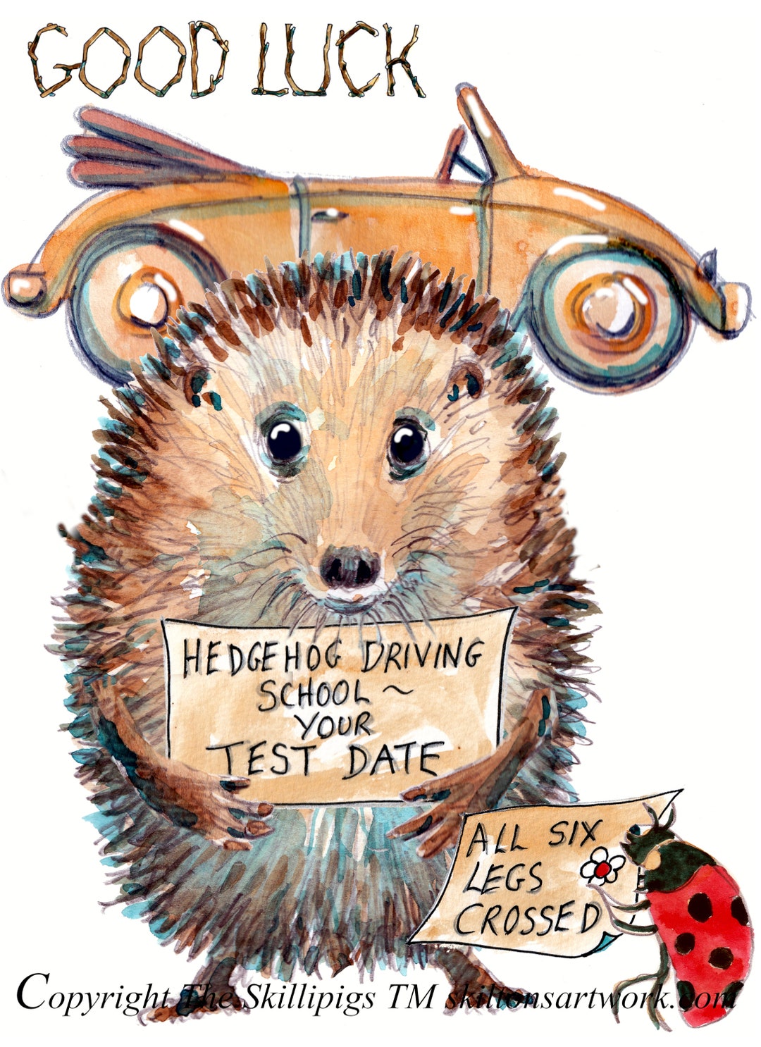 3252 GOOD LUCK Card, Driving Test Exam. Our Male Hedgehog is Holding ...