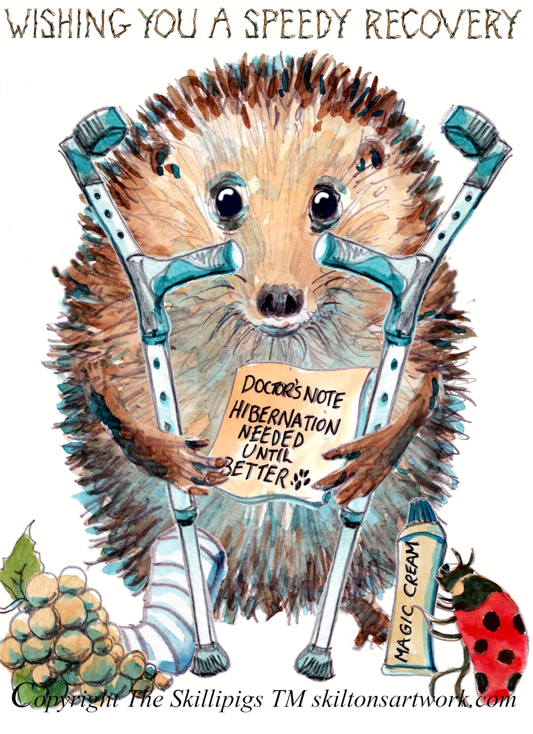3460 GET WELL Soon Card, Poorly Hedgehog With Right Leg in Plaster and ...