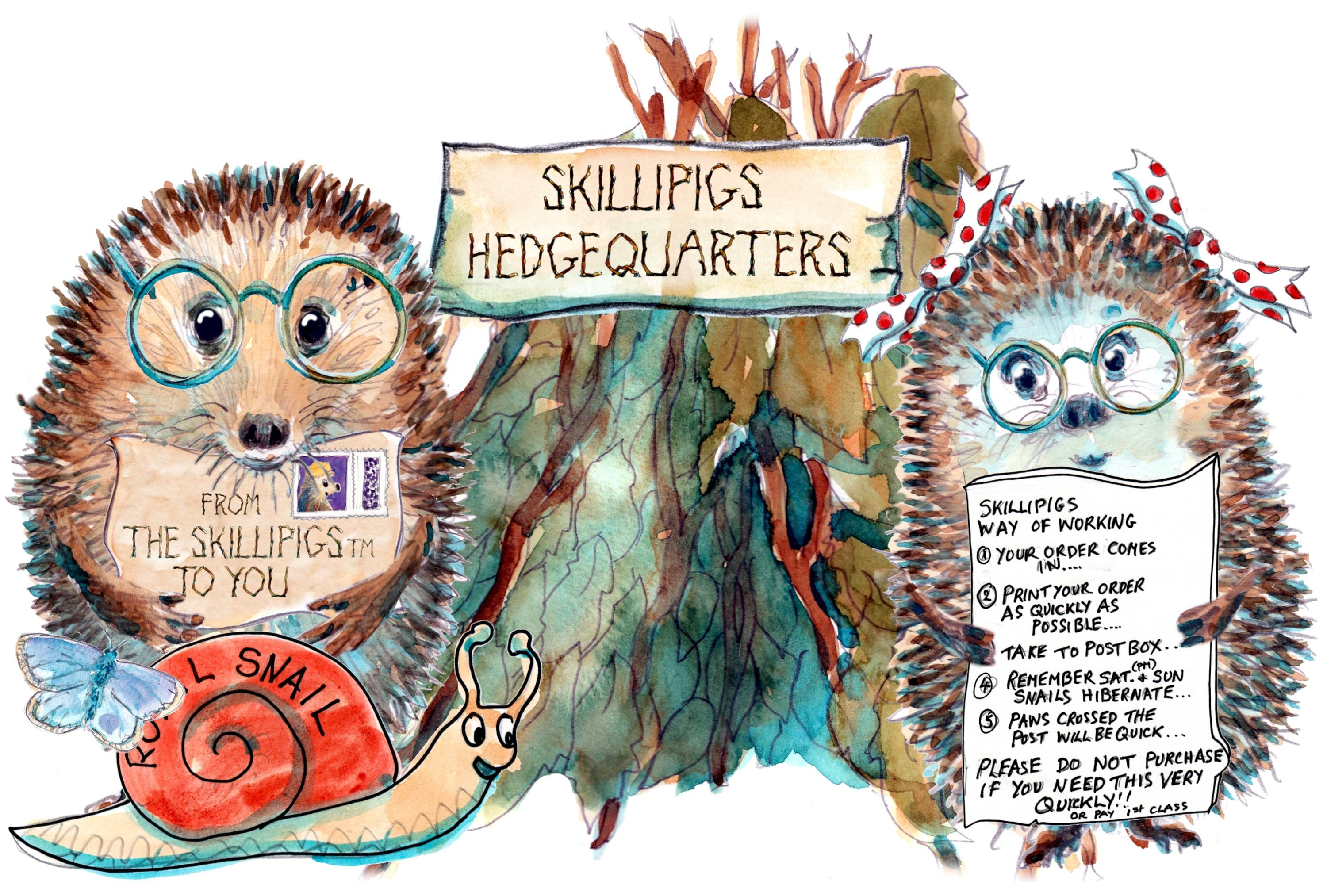 3171 Heavy Metal Birthday Card. Hedgehog Electric Guitar and Drums 'the ...