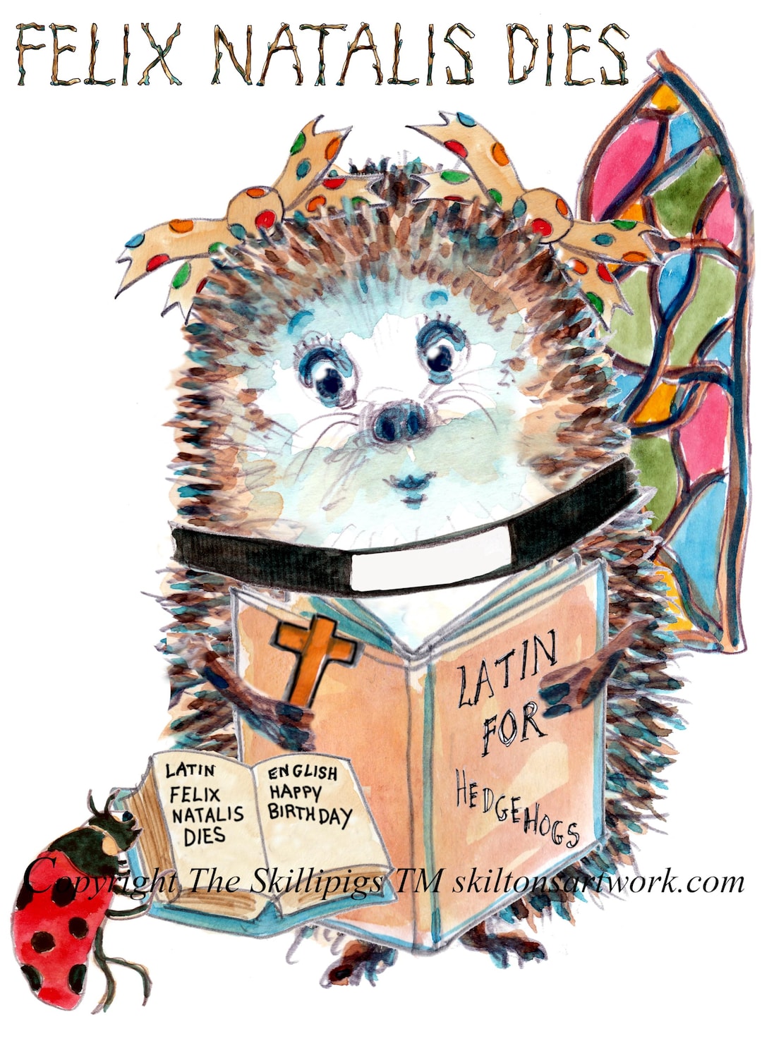 4669 Vicar Hedgehog Happy Birthday Card in Latin, Bilingual, Female ...