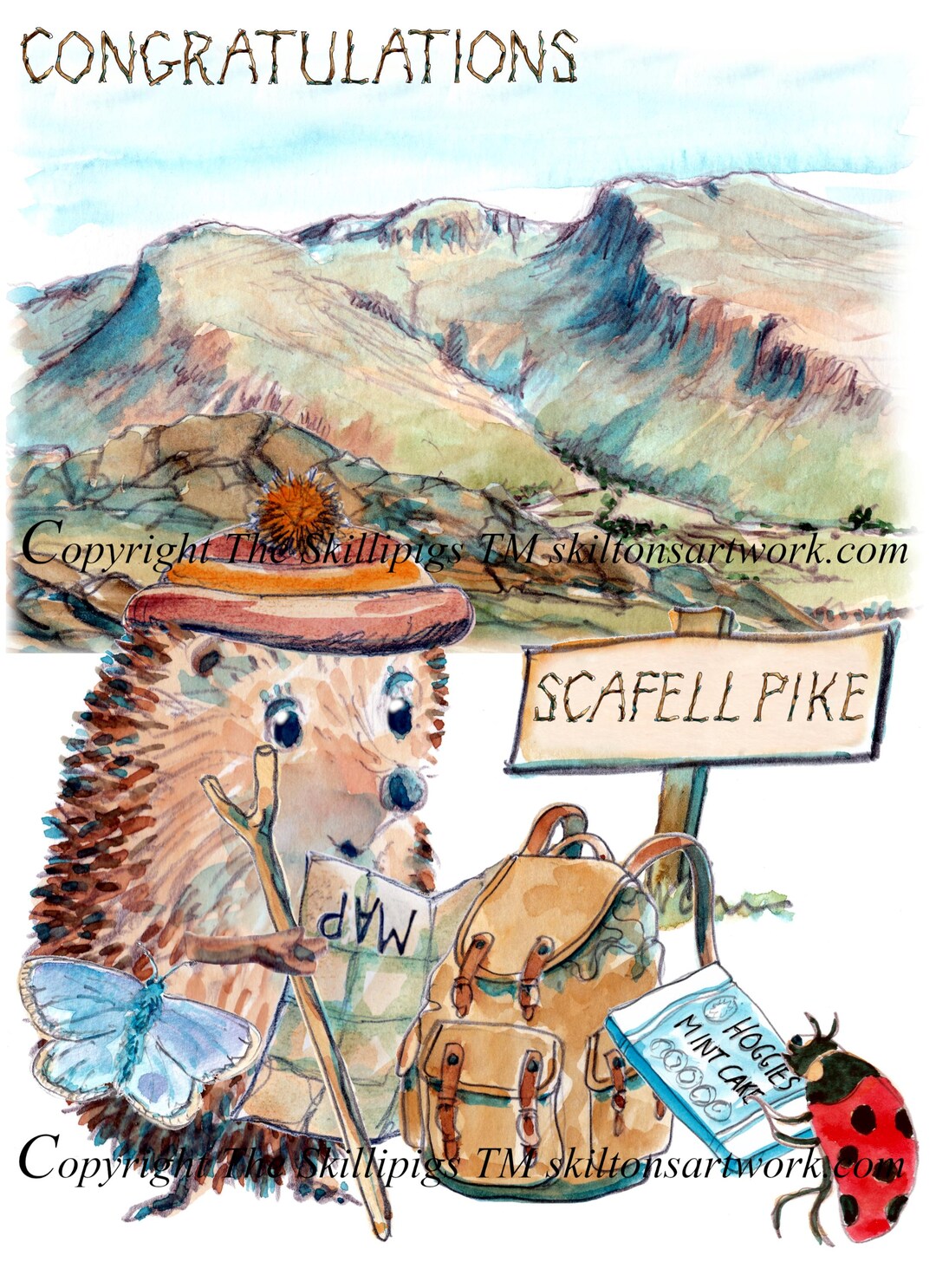 75 SCAFELL PIKE Congratulations Climbing or Walking Card Hedgehog ...