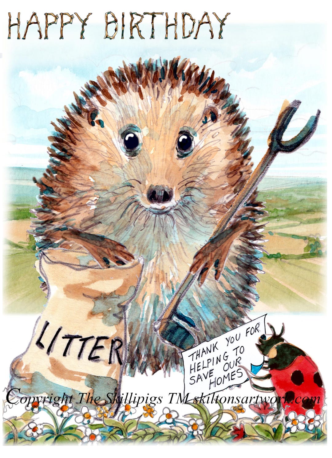 4051 Litter Picker Birthday Card. Keeping Our Countryside a Clean ...