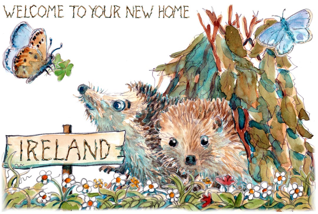 4486 Irish New Home Card Welcome to Your New Home in Ireland Hedgehogs ...