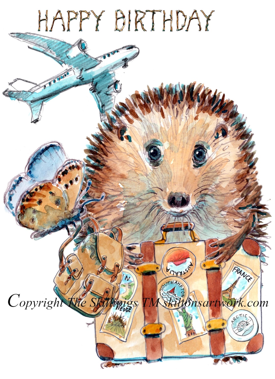 4749 Holiday Traveller Happy Birthday Card Plane, Male Abroad Gap Year ...