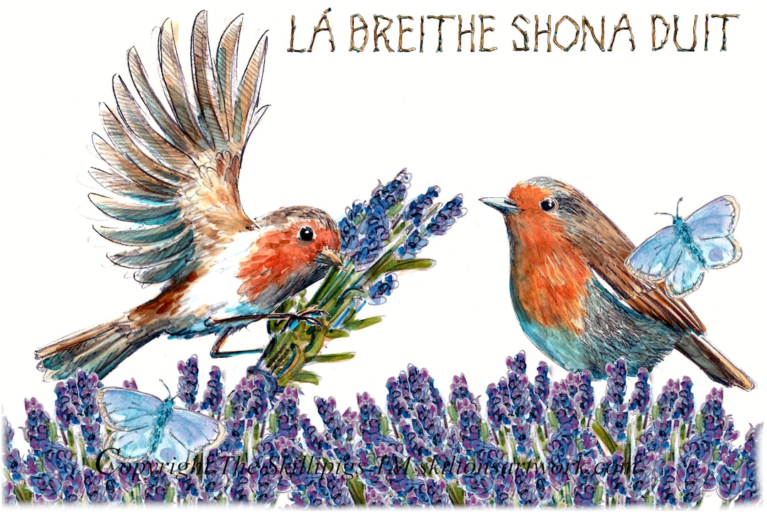 3677 Irish Language Birthday Card La Breithe Shona Duit Can Be ...