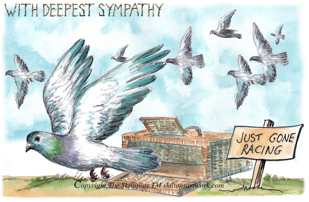 3283 SYMPATHY Card Pigeon Racing With Deepest Sympathy Condolence Card ...