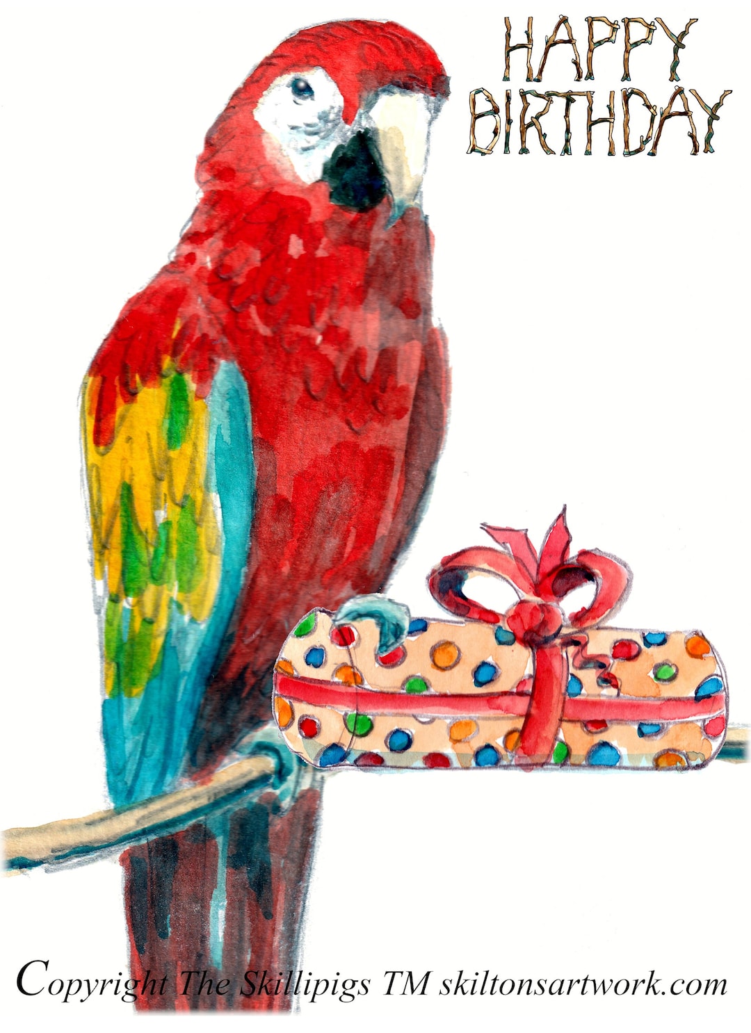 HAPPY BIRTHDAY, Parrot , Colourful Macaw With a Present. This Can Be ...