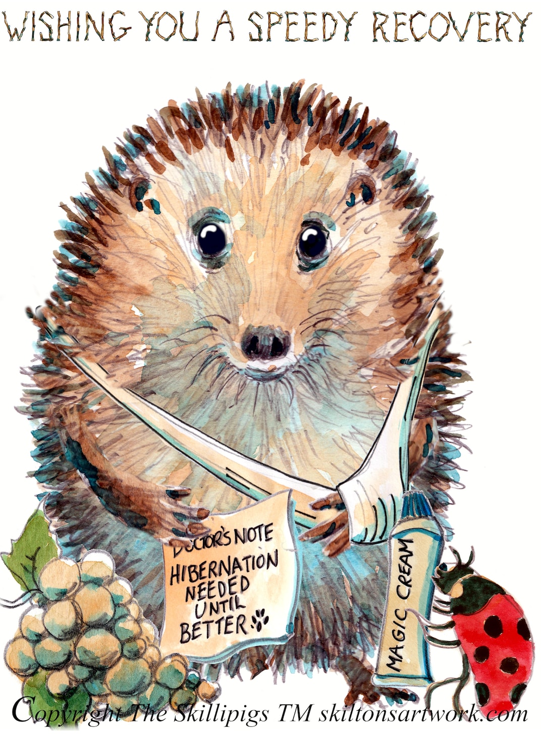 3444 GET WELL SOON Card 'wishing You a Speedy Recovery'. Hedgehog With ...