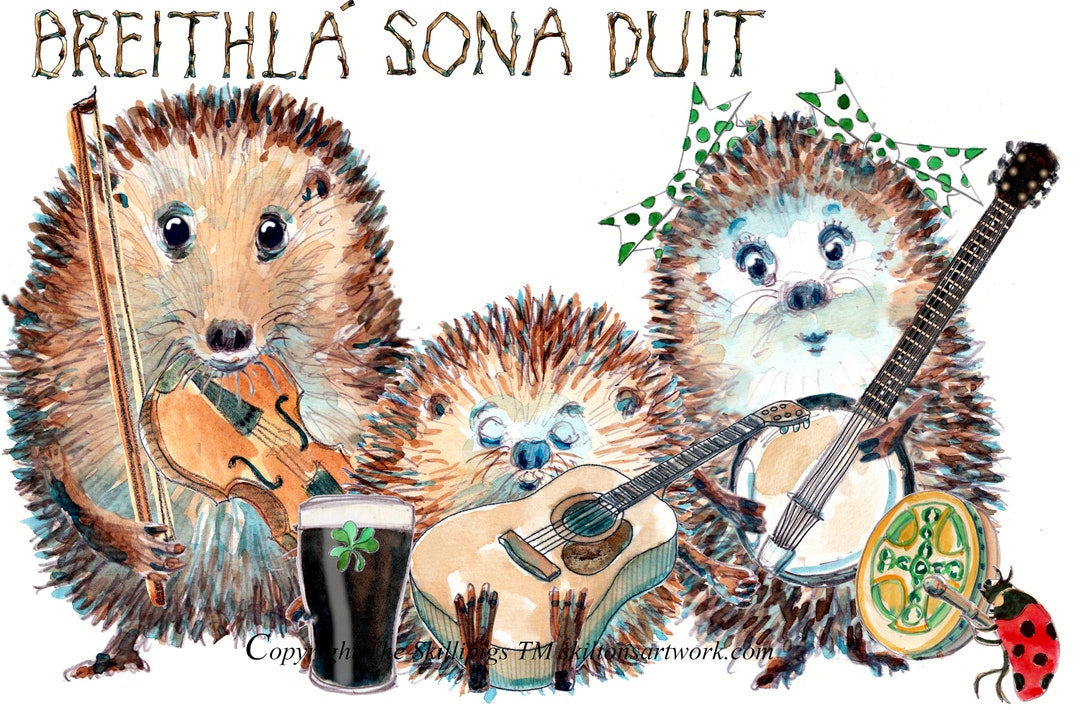 2980 Irish Happy Birthday Card Breithla Sona Duit Card Irish Gaelic ...