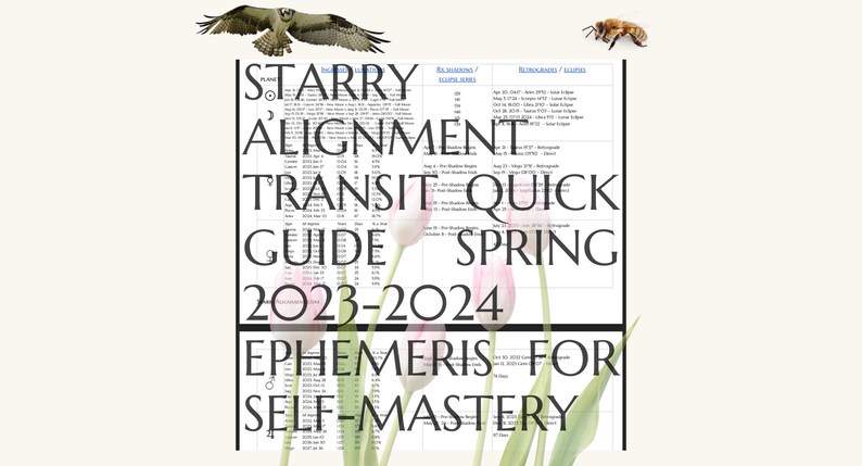 Planetary Transit Quick Guide for Spring 2023-2024 - Etsy