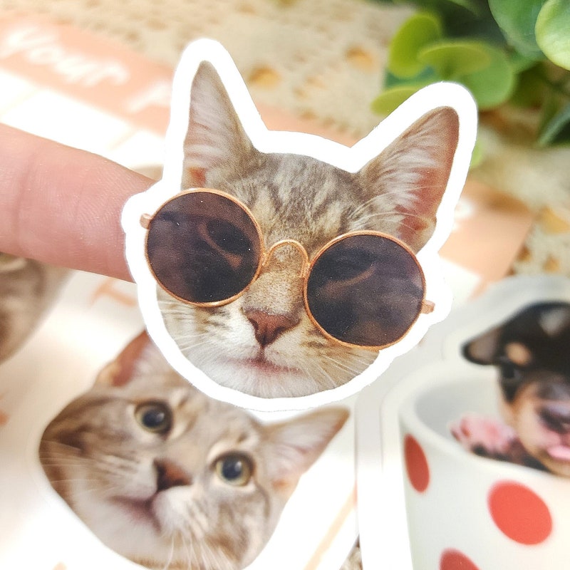 Custom Pet Stickers - Etsy
