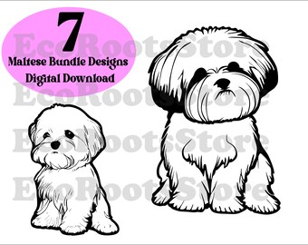 Belle & Co Vector SVG File for Cricut Digital Download - Etsy