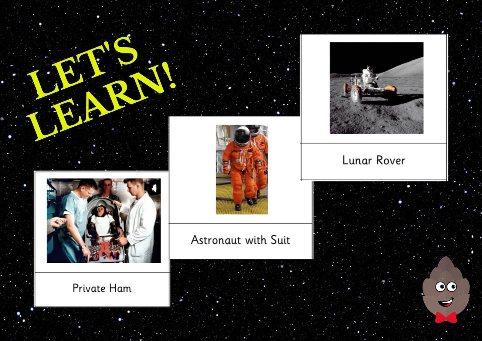 Space Toob Safari LTD - Montessori 3 Part Flash Cards - Printable at ...