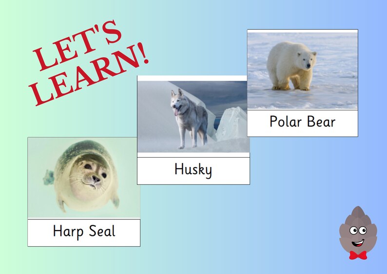 Arctic Animals Toob Safari LTD - Montessori 3 Part Flash Cards ...