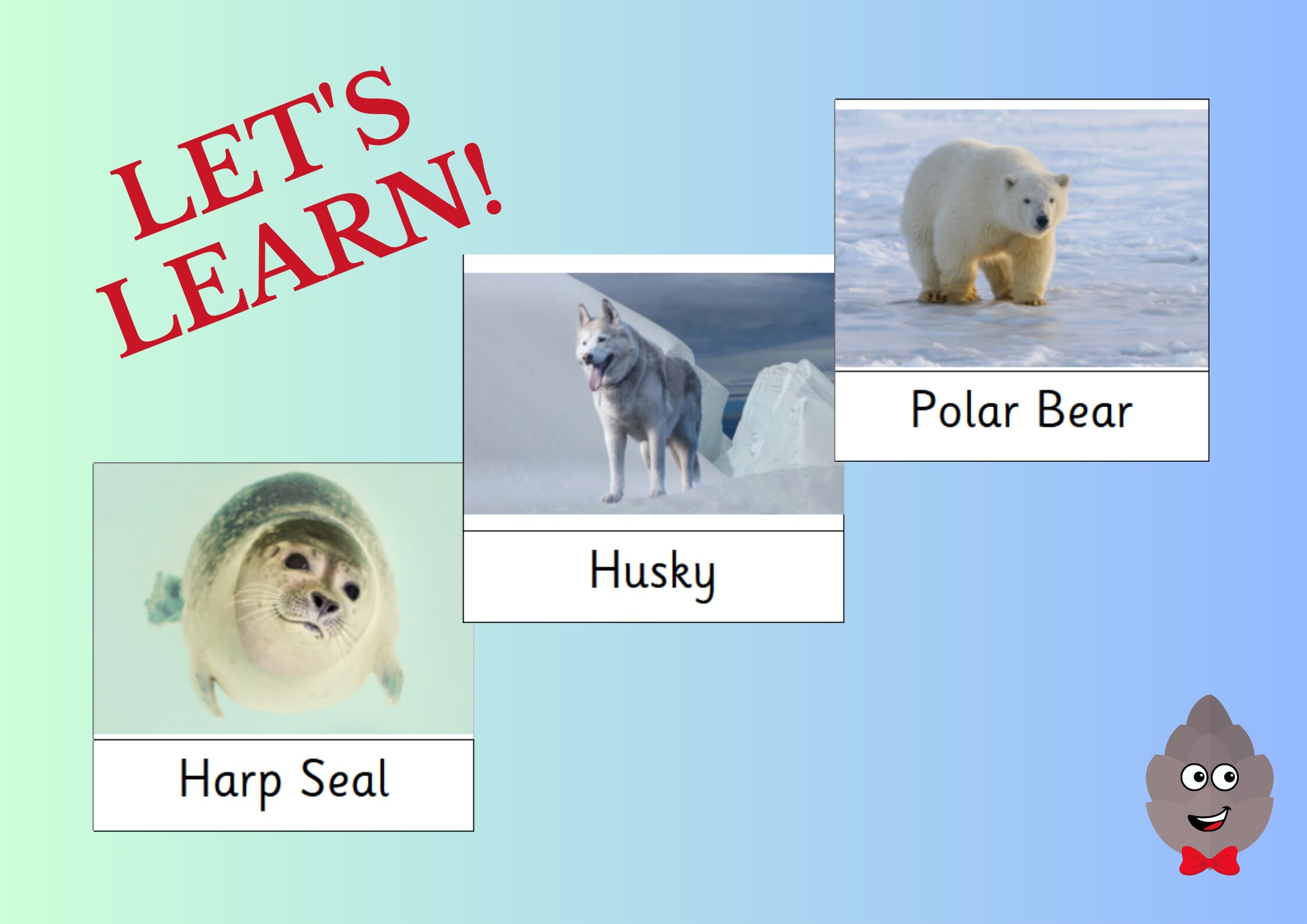 Arctic Animals Toob Safari LTD - Montessori 3 Part Flash Cards ...