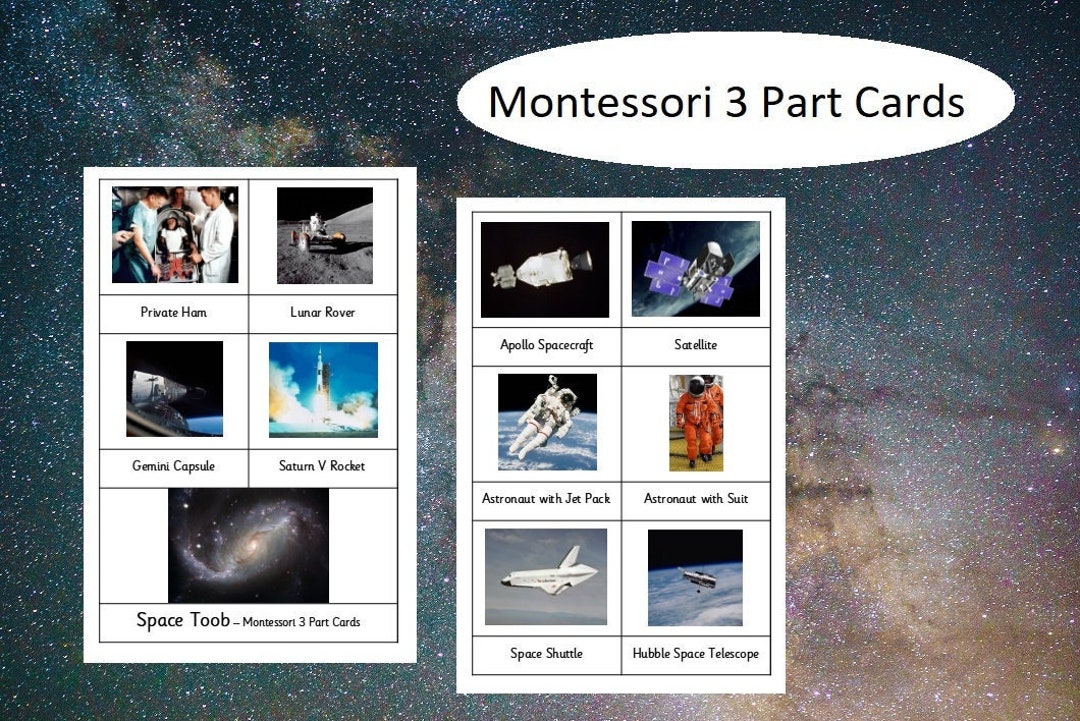 Space Toob Safari LTD Montessori 3 Part Cards - Etsy