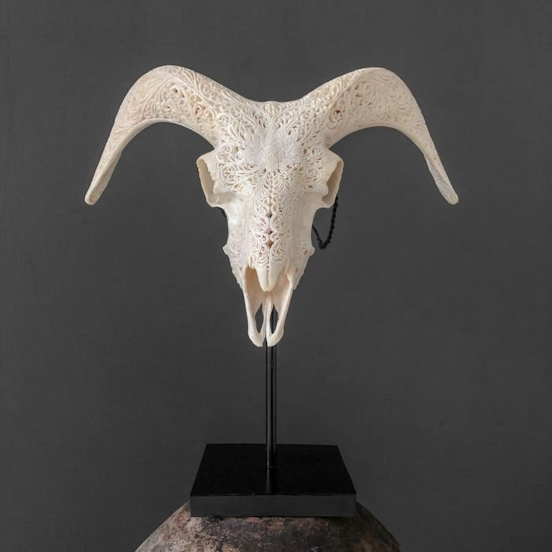 Real Ram Skull With Mandala Carving/ Hand Carved & Hand Painted/ Wall ...