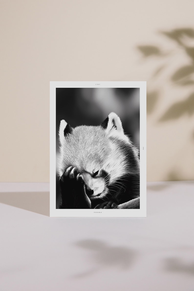 Red Panda Poster A4 - Etsy