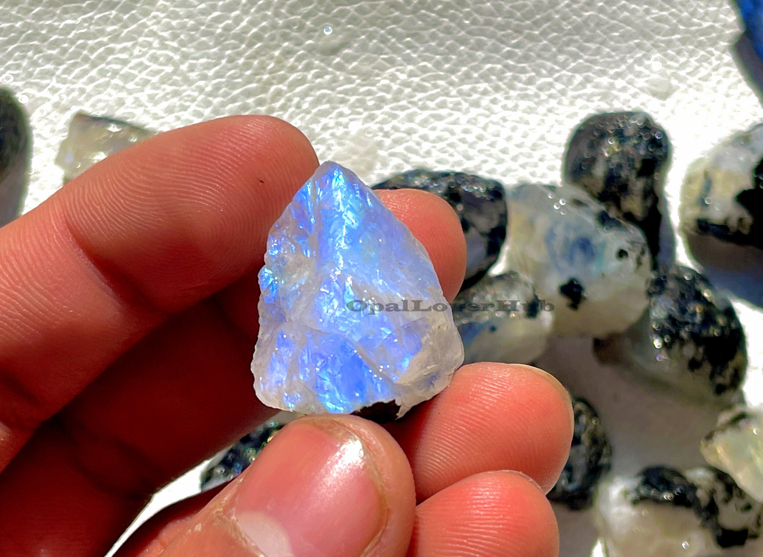 Raw Rainbow Moonstone Rough Full Flash Pieces Blue Moonstone - Etsy