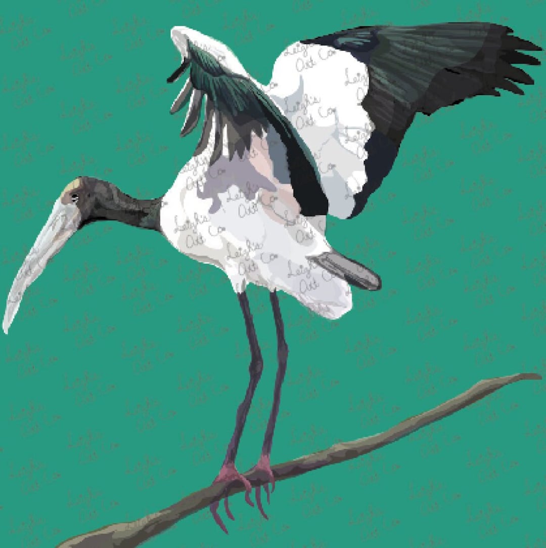 American Wood Stork Hand Drawn Digital Art Handmade Printable ...
