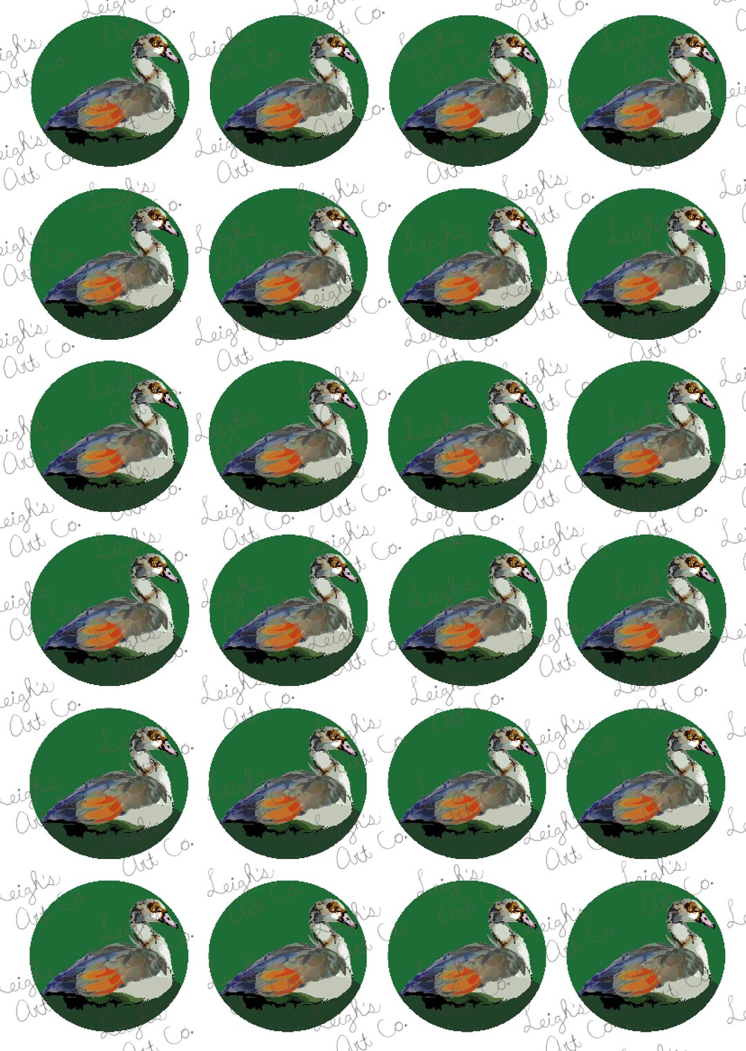 Egyptian Goose PAPER SHEET Custom Stickers Bird Stickers - Etsy