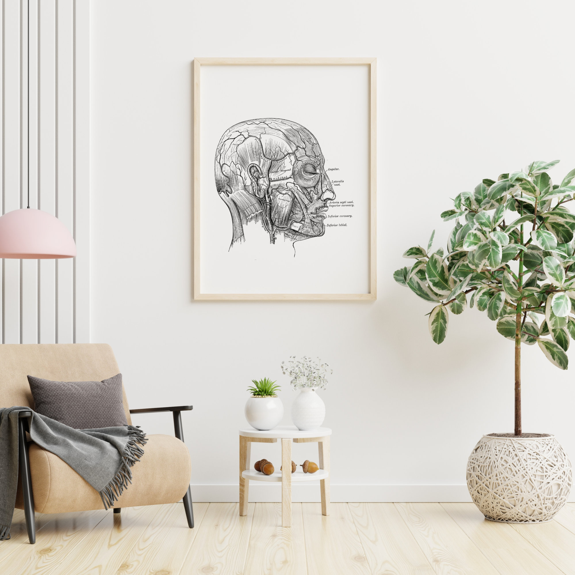 ANATOMY WALL ART, Digital Printable Minimalist Art Anatomy and ...