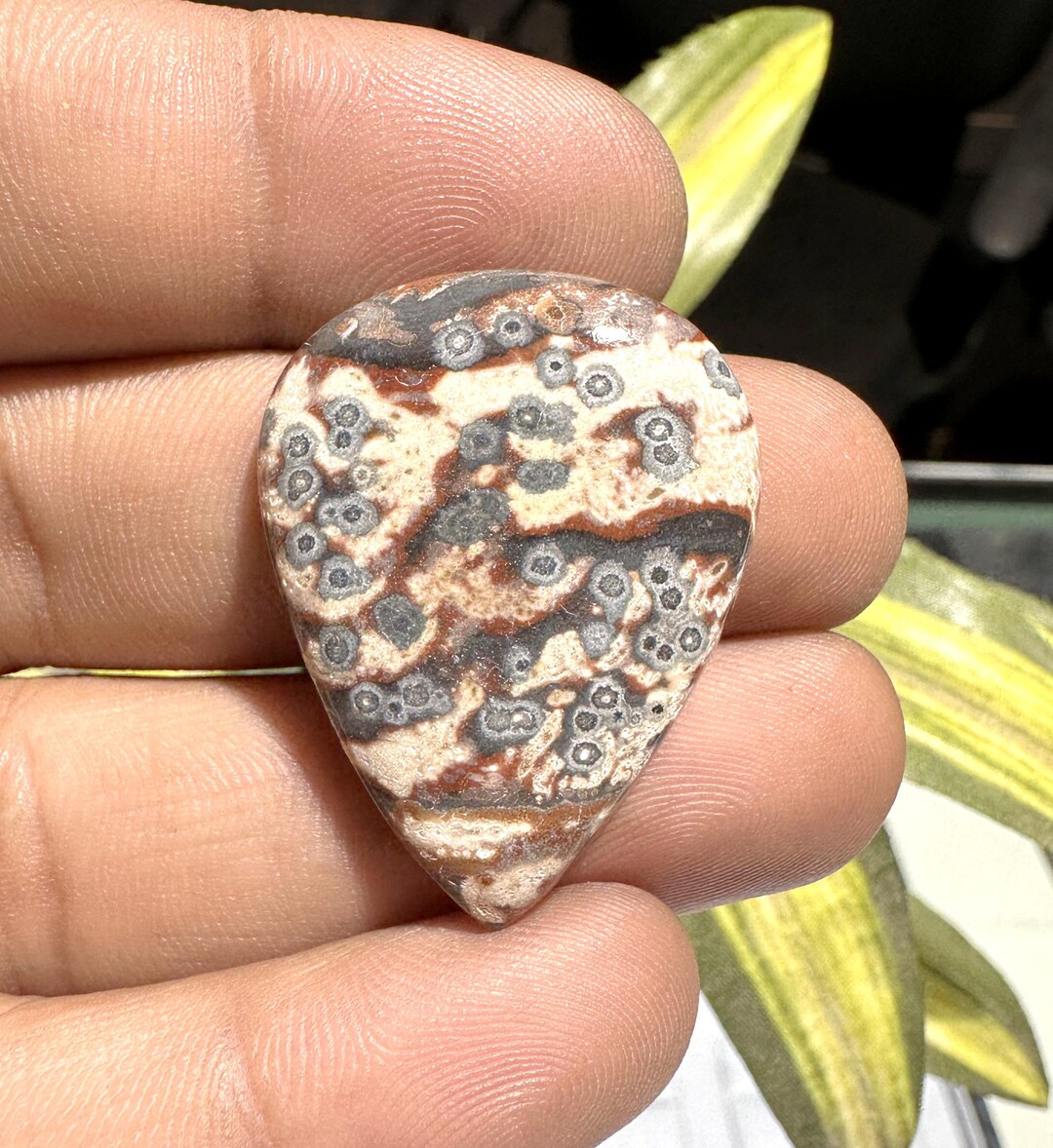 Viper Skin Jasper Cabochon: Brown, Beige, Gray, and Black (41 CTS ...