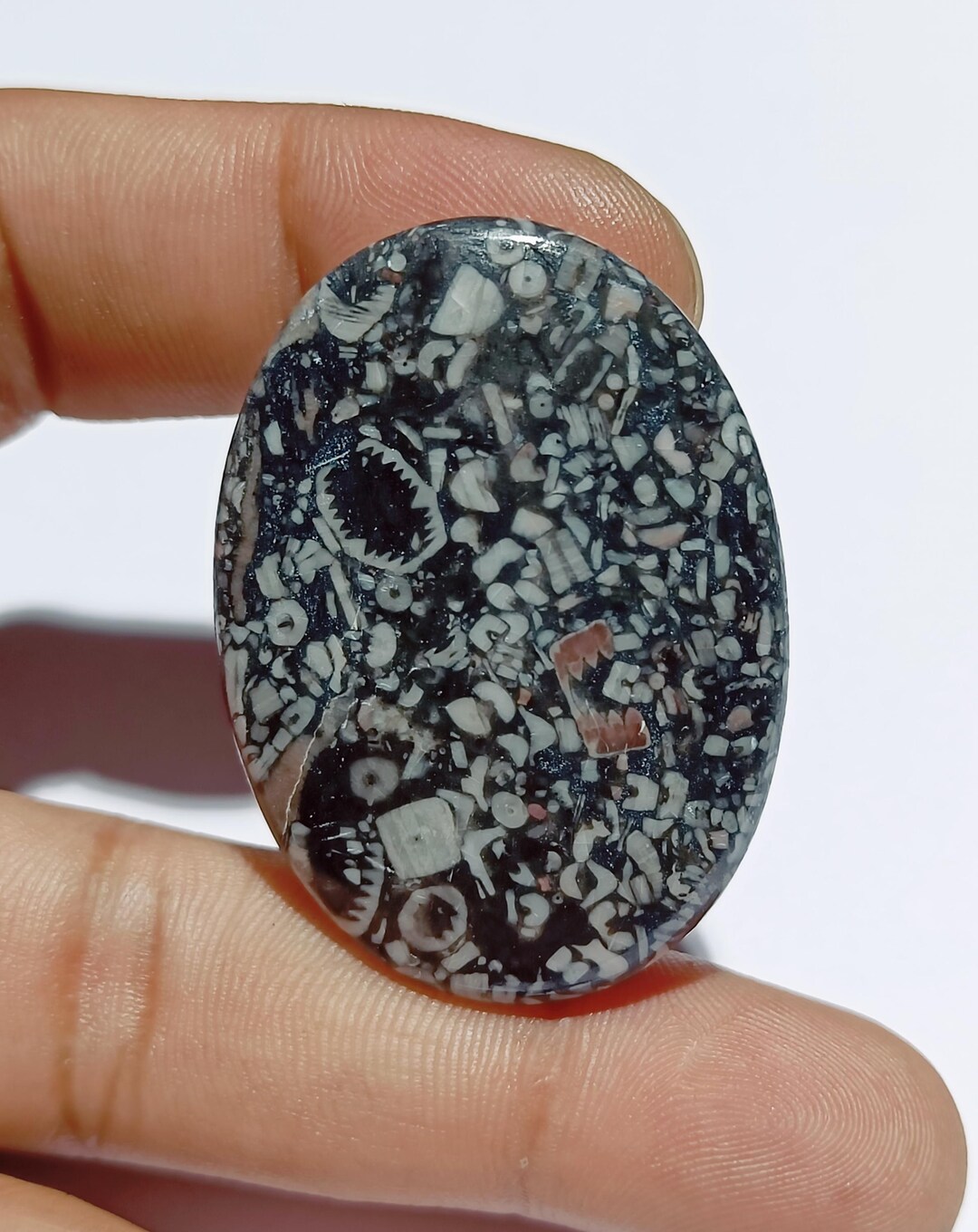 Crinoid Fossil Cabochon: Natural Stone for Jewelry Making (46x33x5.4 MM ...