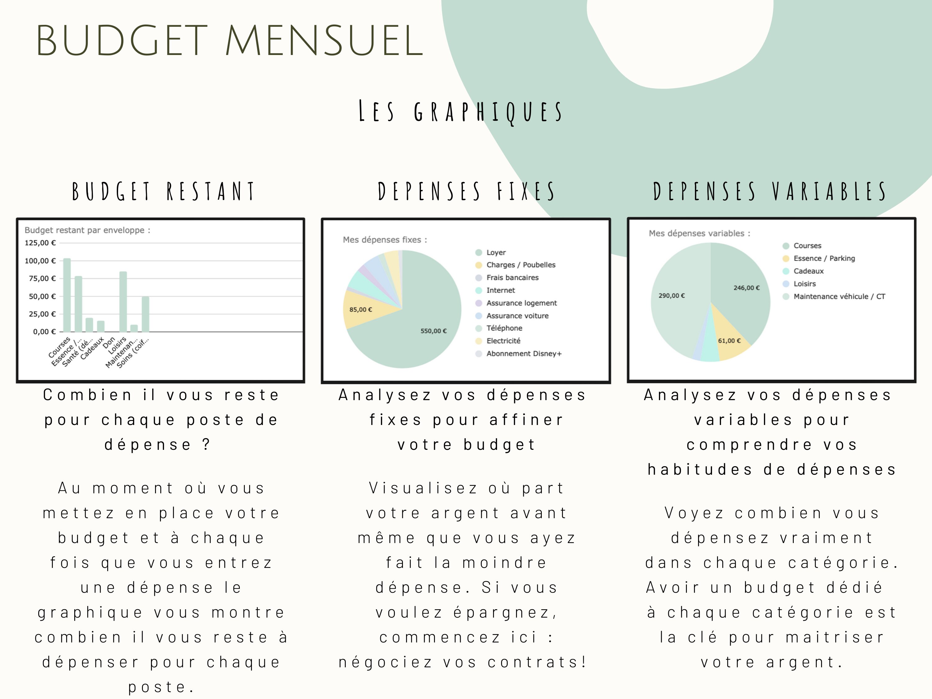 Monthly Budget Spreadsheet in French, Green Version, Cash Envelopes ...