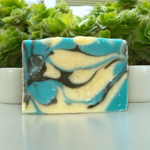 Set of 2 Artisan Handmade Bar Soaps, Natural Homemade Bar Soap, Swirl ...