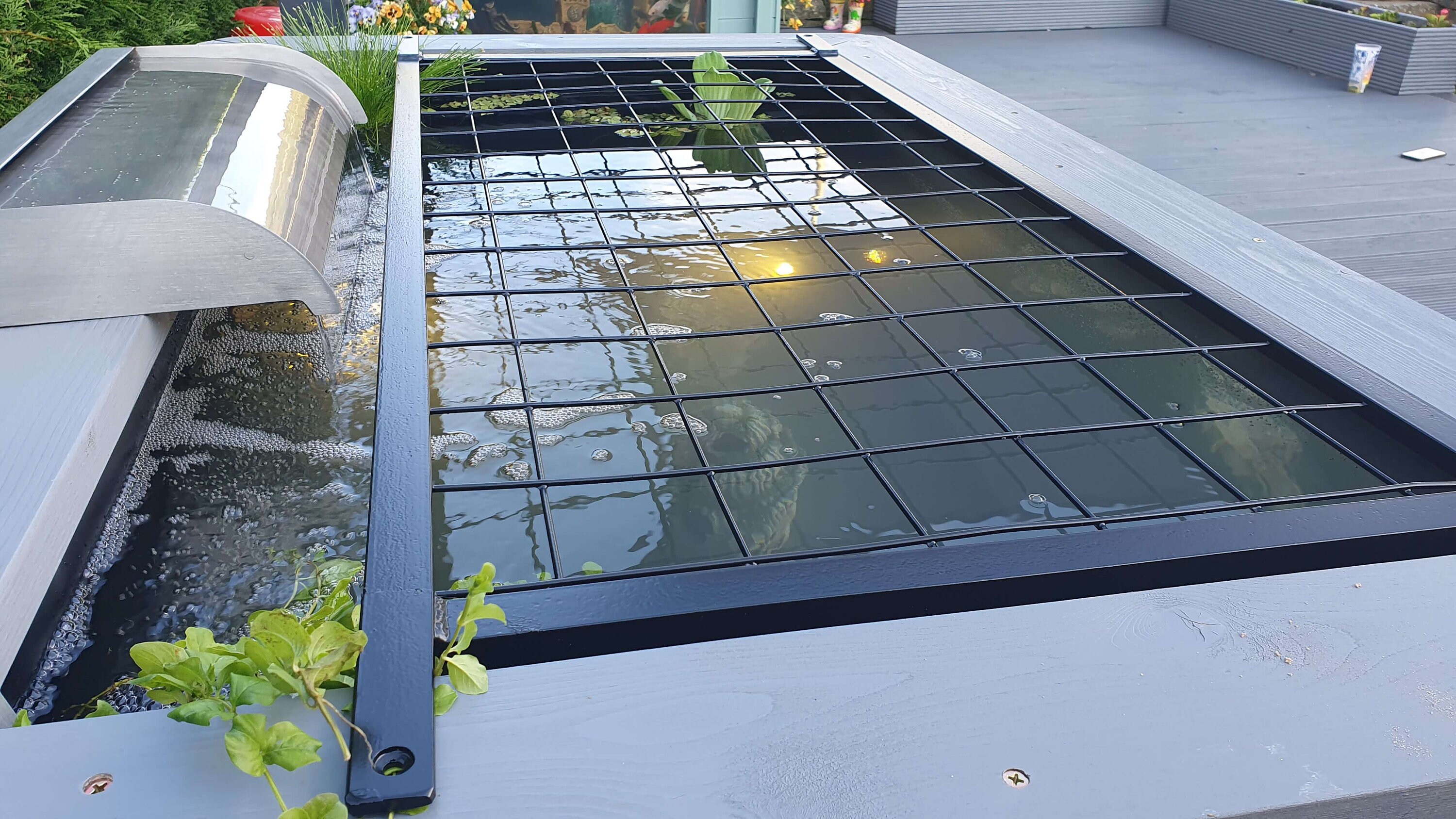 Clear View Garden Aquarium Fish Pond Cover - Etsy UK