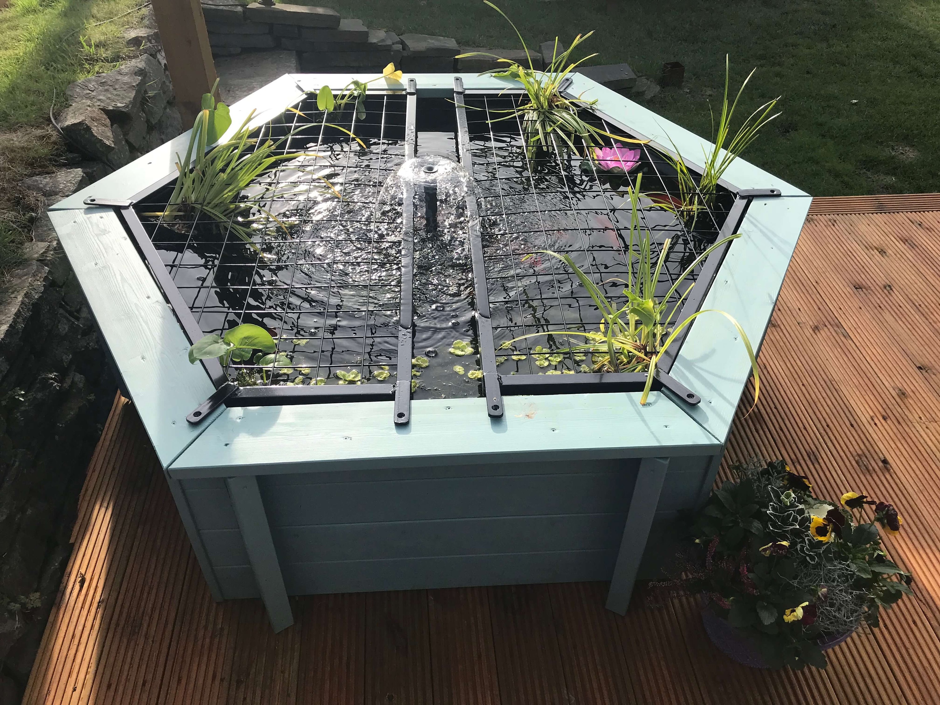 Clear View Garden Aquarium Fish Pond Cover - Etsy UK