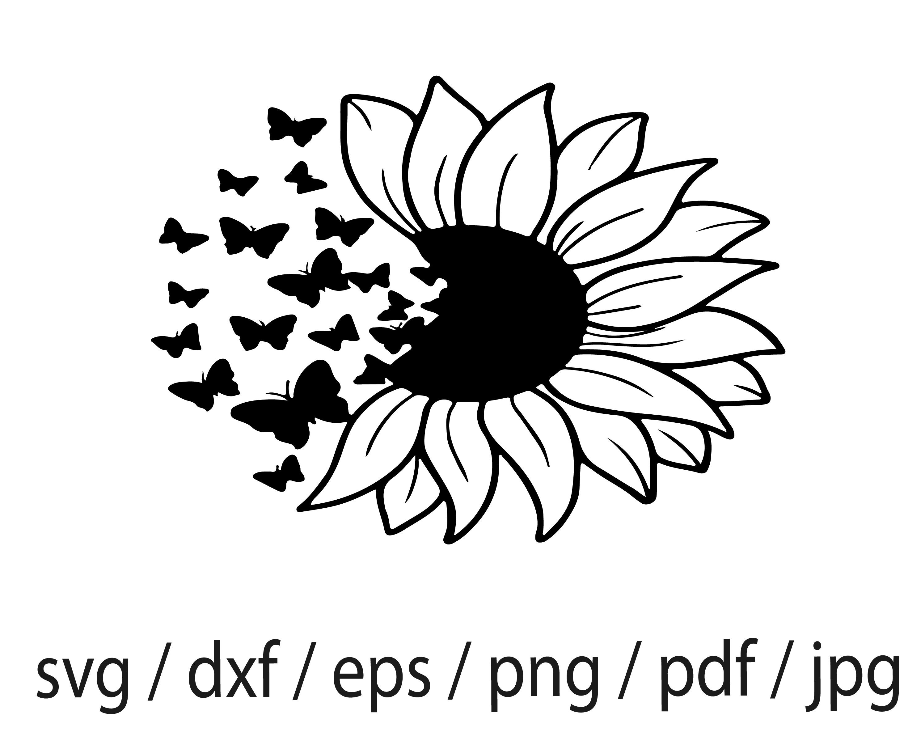 Daisy Butterfly Svg Floral Butterfly Svg Butterfly Flower - Etsy