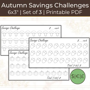 Money Challenge | Usd/euro/gbp | Set of 3 | Budgeting Cash Stuffing ...