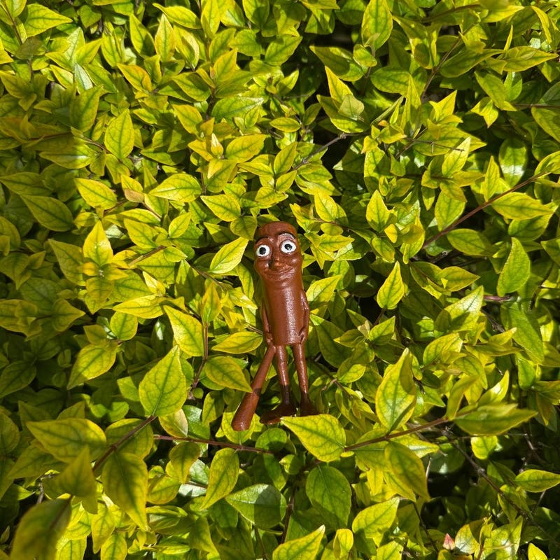 Italian brainrot figurine - Etsy Italia