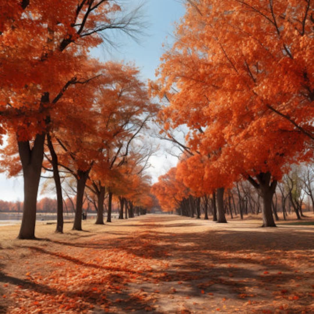 Fall Themed Zoom Backgrounds - Etsy Canada