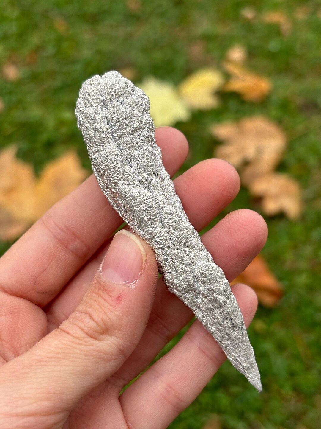 Magnesium #G Specimen; Magnesium Ore, Silver Magnesium Cluster, Raw ...