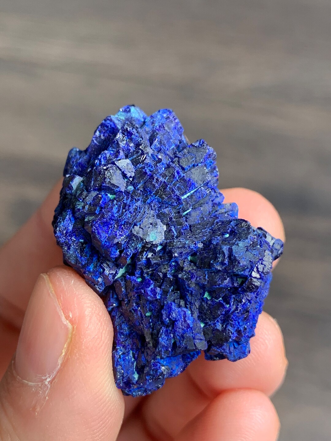 Azurite Flower Rosette 32g crystal Mineral Specimen Druzy - Etsy