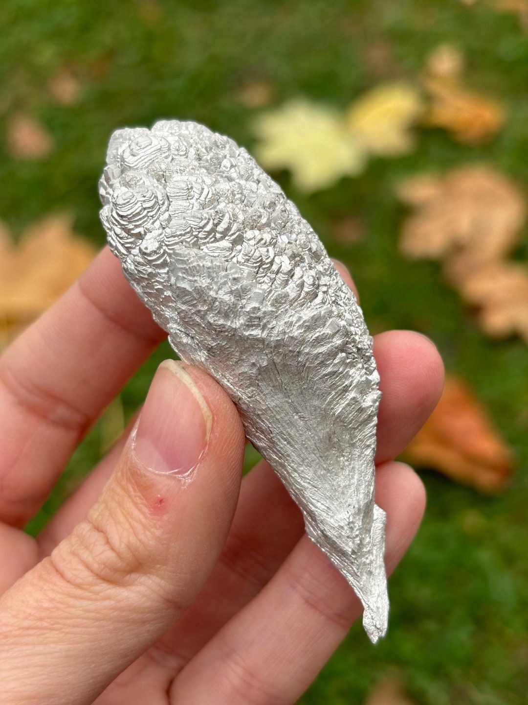 Magnesium #H Specimen; Magnesium Ore, Silver Magnesium Cluster, Raw ...