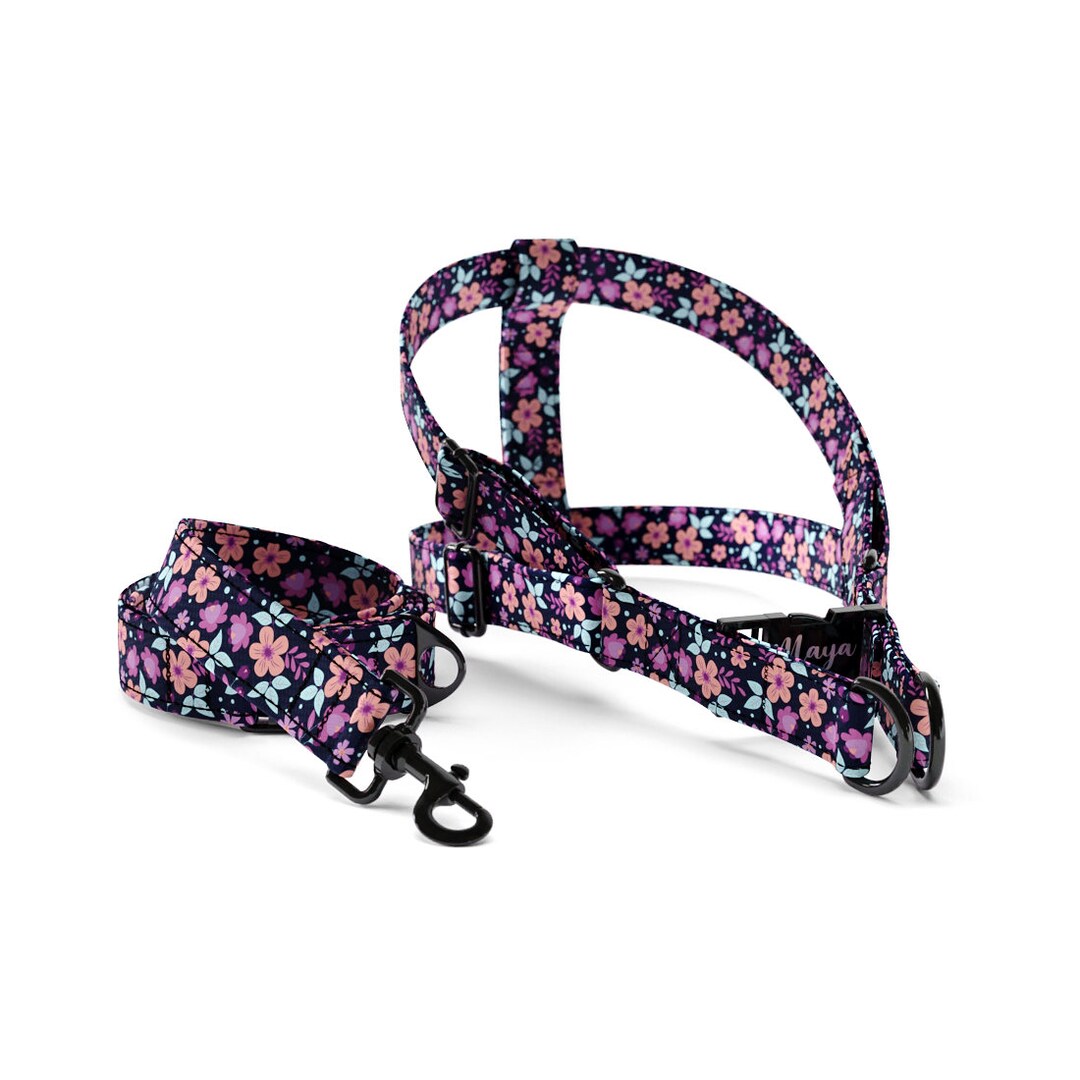 Folklore Flower Personalized Dog Harness With Name, Quick Release Metal ...
