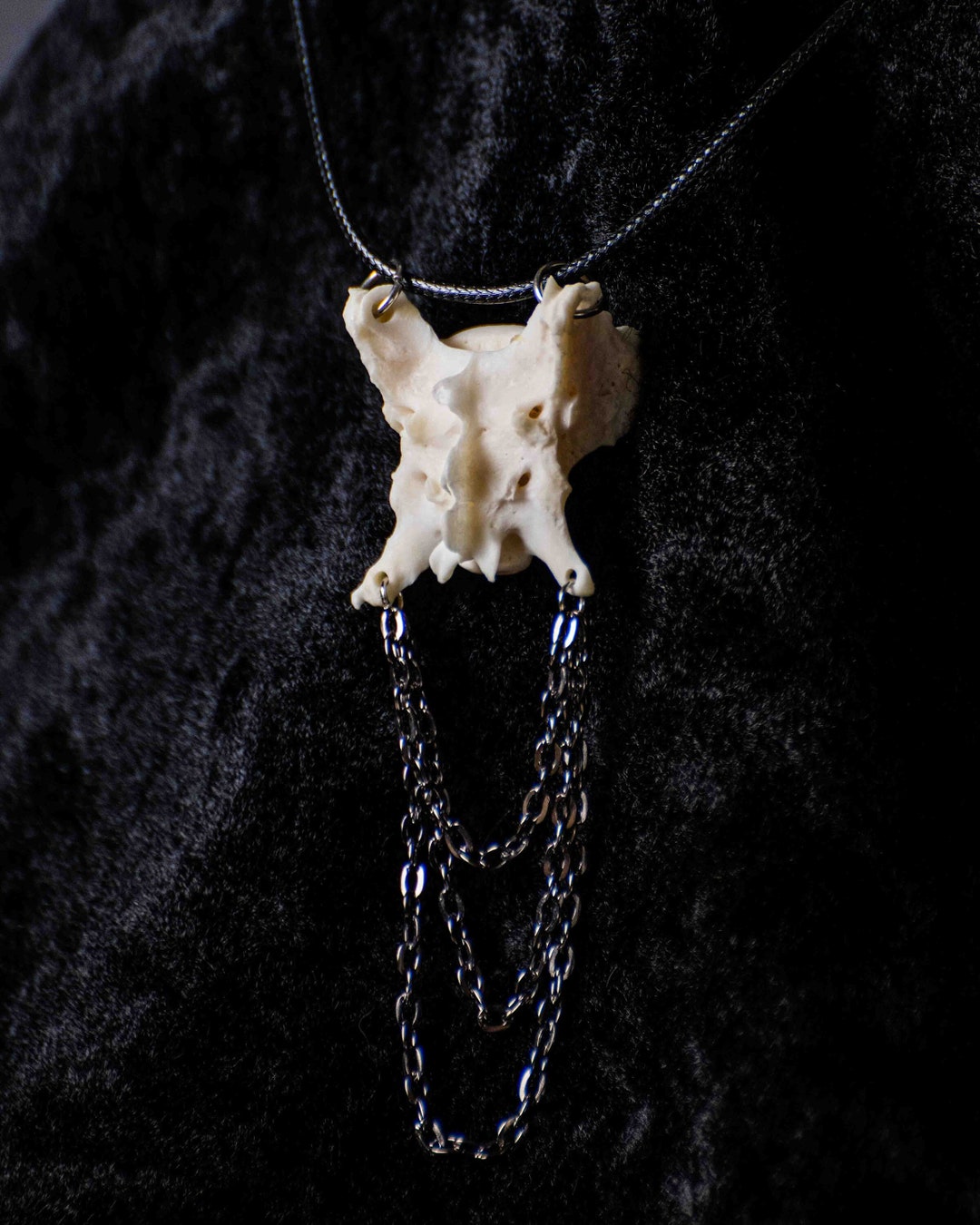 Fox Sacrum Bone Necklace - Etsy