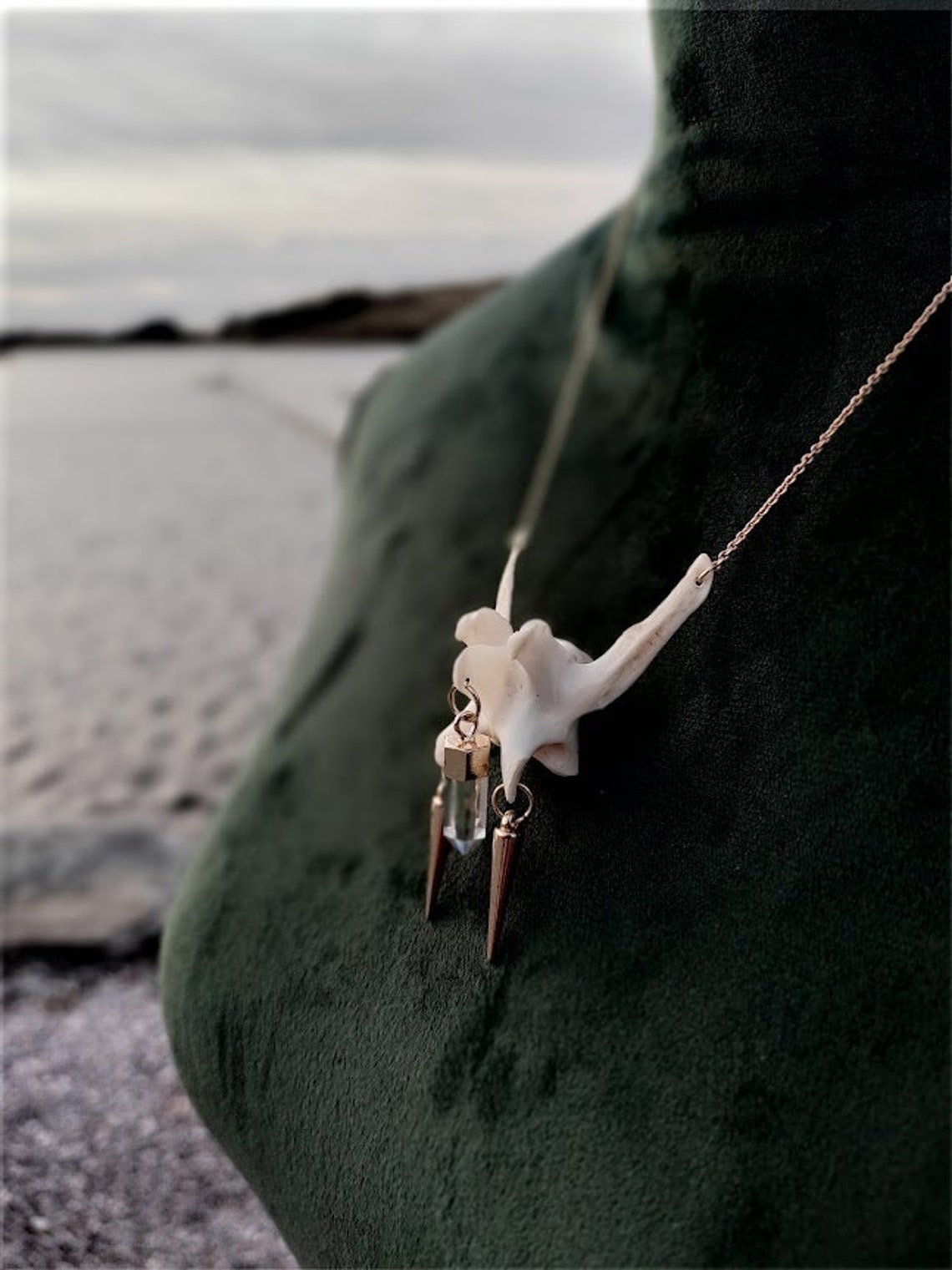 Fox Vertebrae With fake Crystal and Golden Spikes. - Etsy