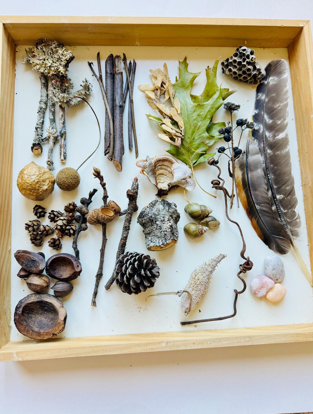 Natural Elements, Outdoor Learning, Natures Educational Classroom ...