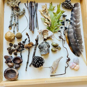 Natural Elements, Outdoor Learning, Natures Educational Classroom ...