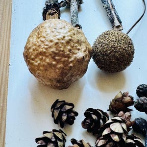 Natural Elements, Outdoor Learning, Natures Educational Classroom ...