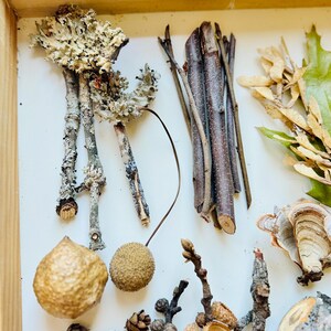 Natural Elements, Outdoor Learning, Natures Educational Classroom ...